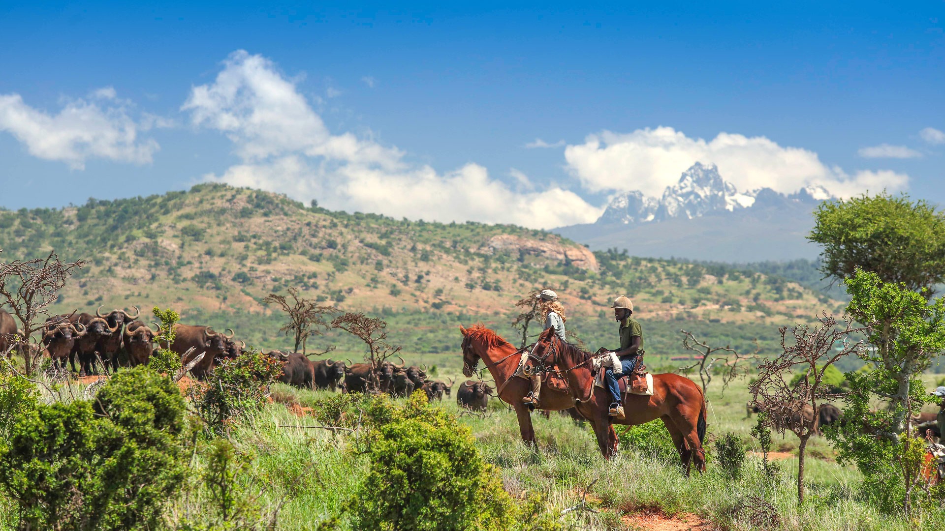 Ultimate Luxury Kenya Safari: 11-day Extraordinary Tour